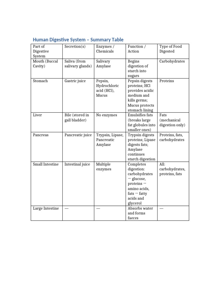 Digestive System Summary Table Grade10 | PDF | Digestion | Human ...
