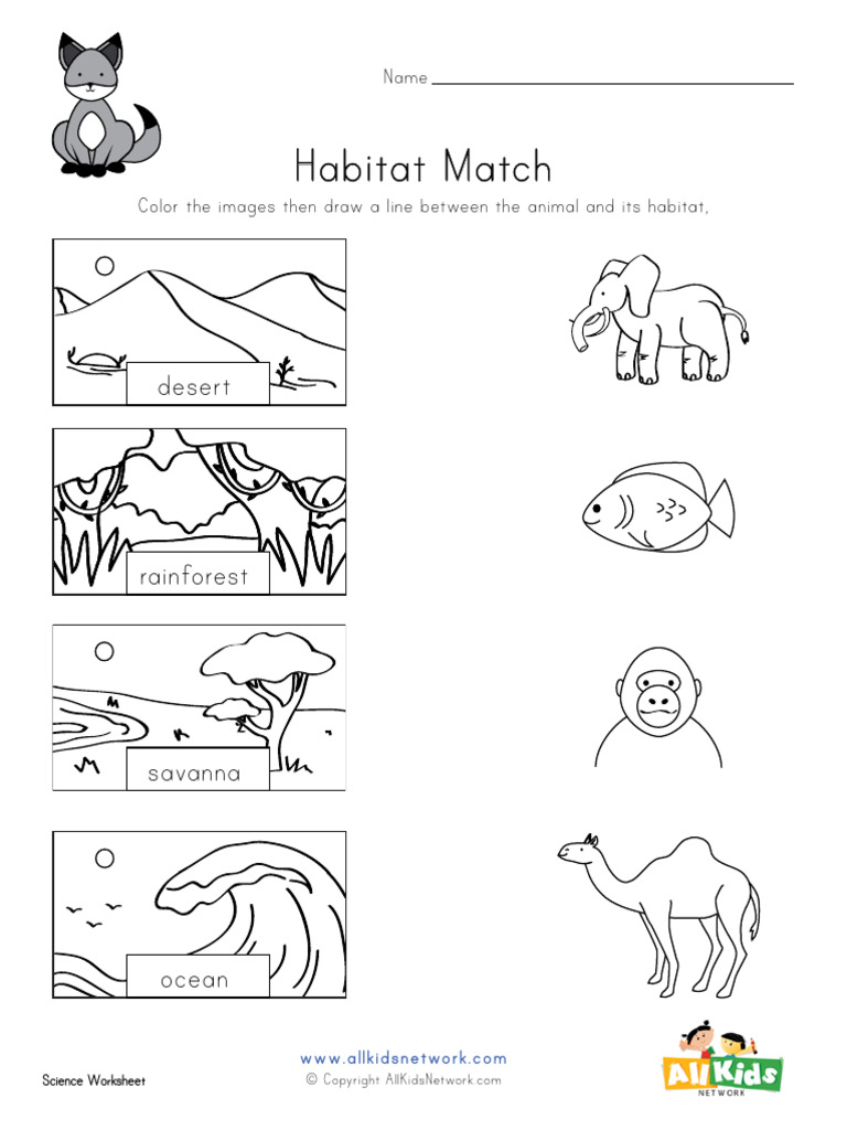 Animal Habitat Matching Worksheet | PDF