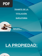 Esquema de Titulación Supletoria | PDF | Propiedad | Posesión (Ley)