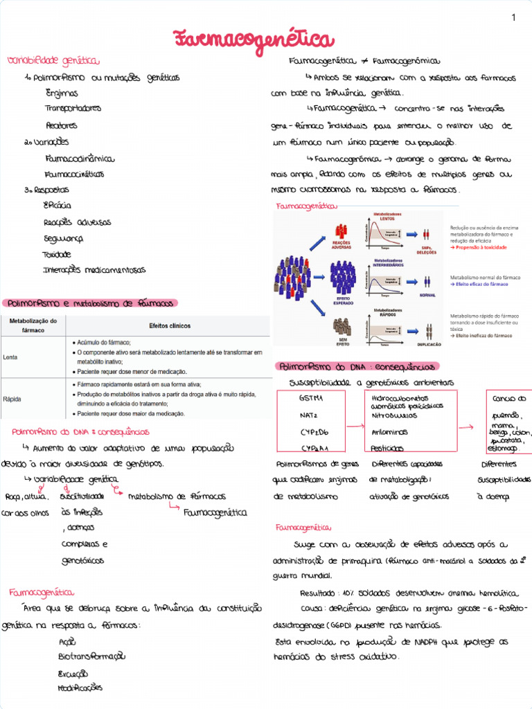 Fármaco Genética | PDF