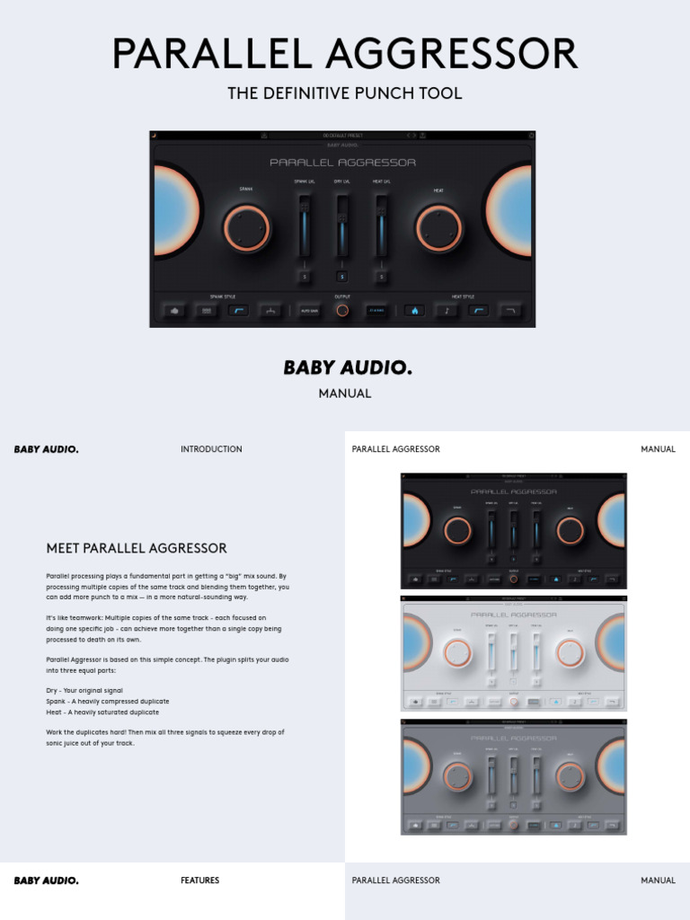 Parallel Aggressor - Manual | PDF | Computer Engineering | Software