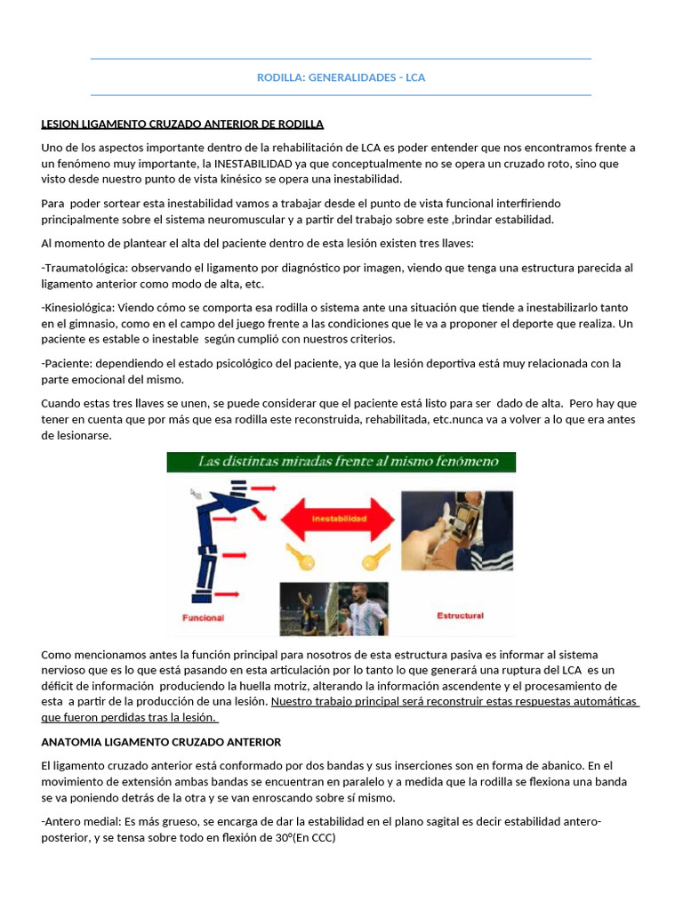 Rehabilitación y Reconstrucción LCA Rodilla | PDF | Rodilla ...