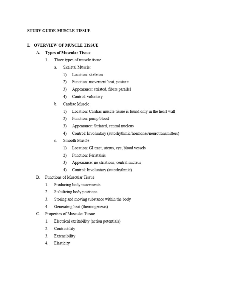 Muscle Tissue-Study Guide | PDF | Muscle Contraction | Skeletal Muscle