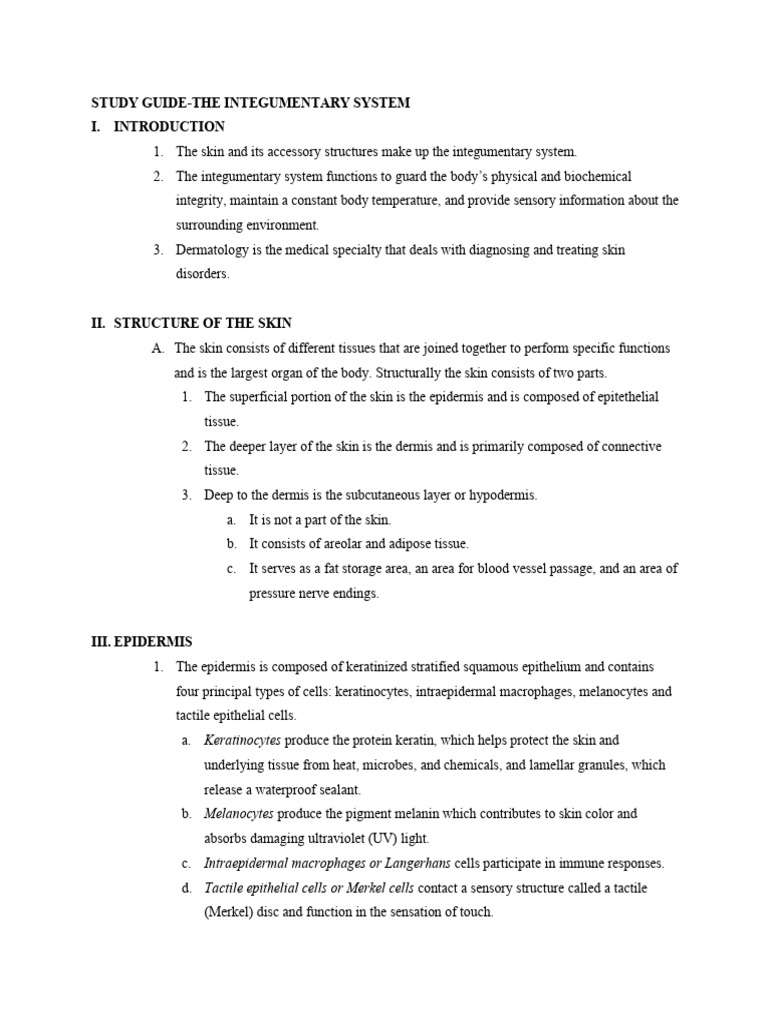 The Integumentary System-Study Guide | PDF | Skin | Integumentary System