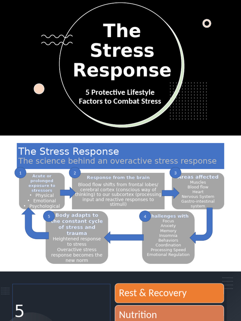 The Stress Response | PDF | Stress (Biology) | Body Language