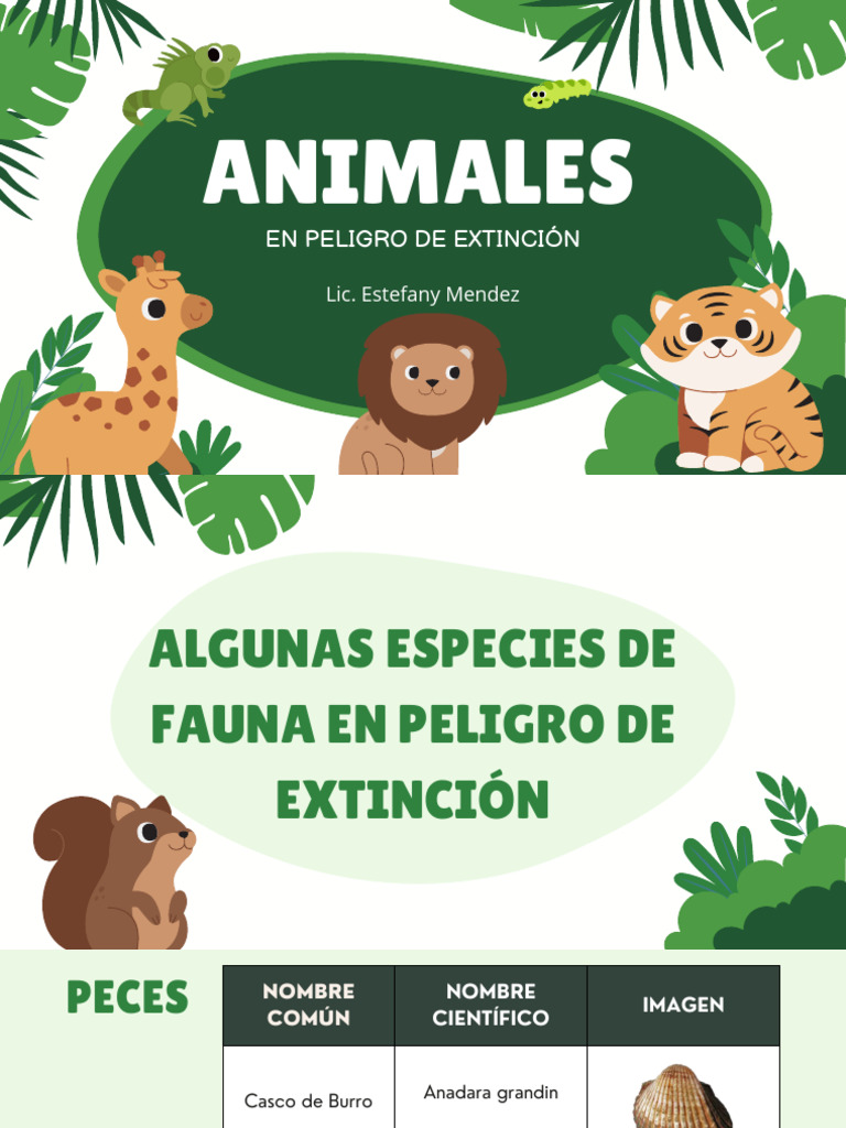 Fauna en Peligro en Puerto Rico | PDF | Arrecife de coral | Coral