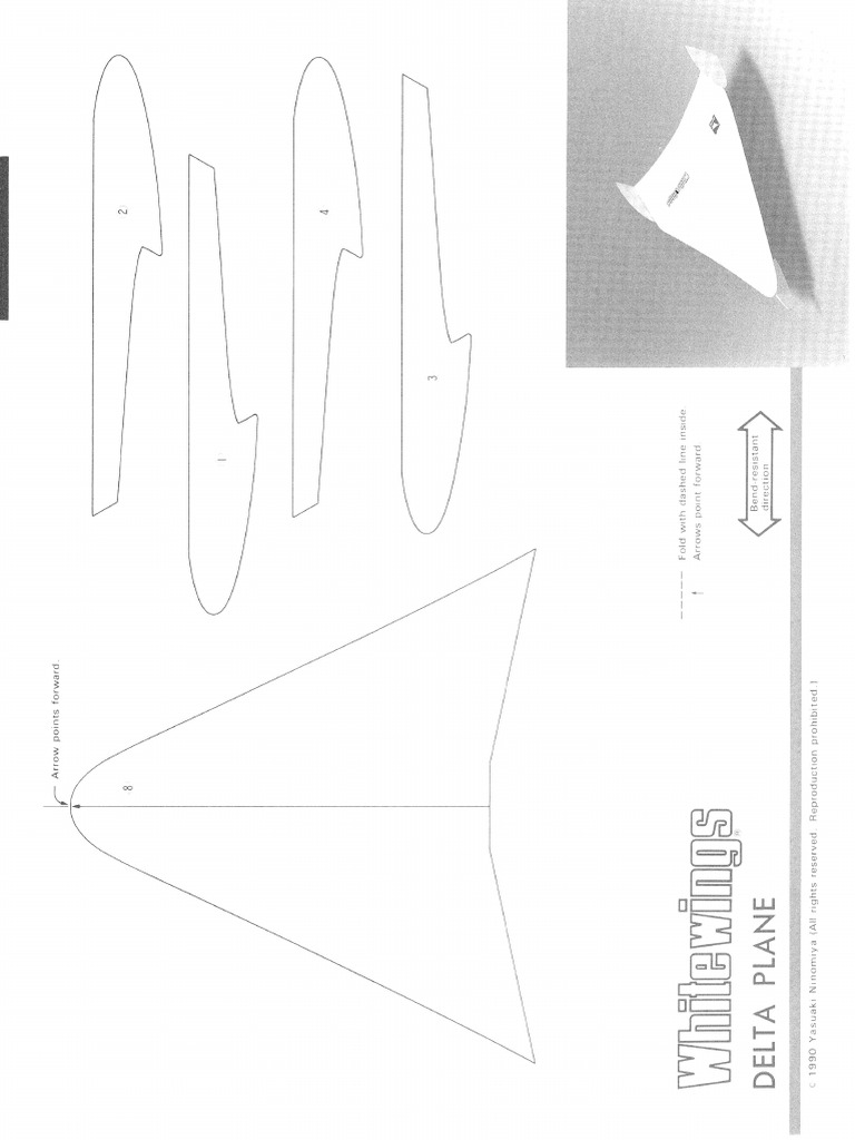 Delta Plane | PDF