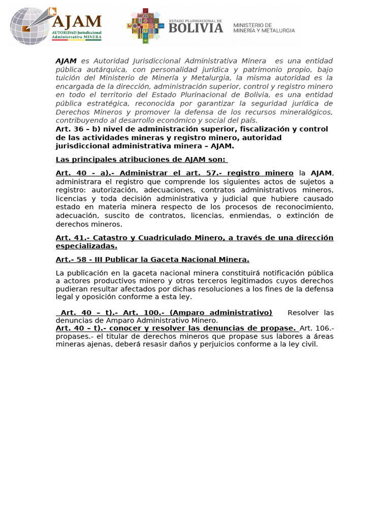 Qué es AJAM en Bolivia | PDF