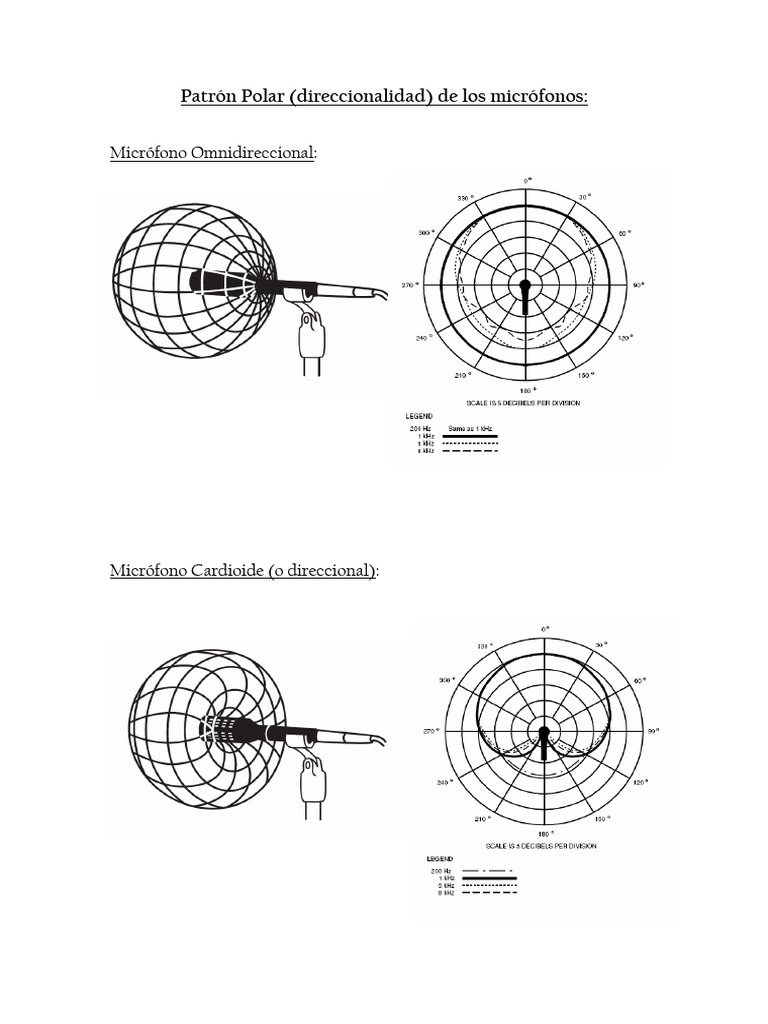 1 - Patrón Polar | PDF | Micrófono | Sonido