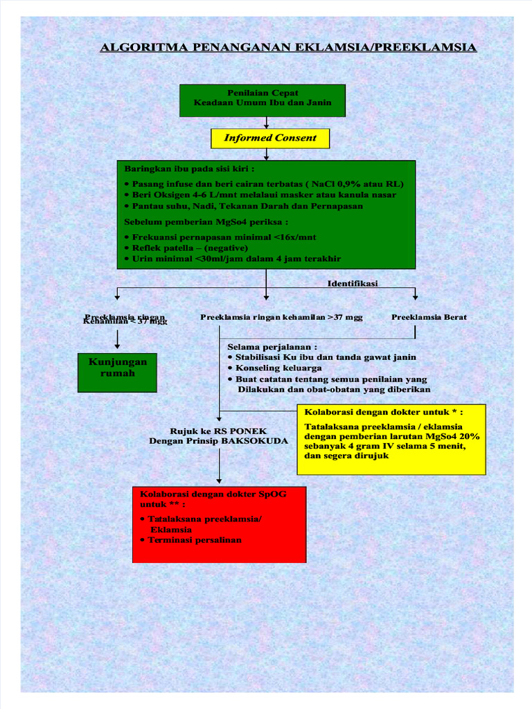 PDF Algoritma Penanganan Eklamsia - Compress | PDF