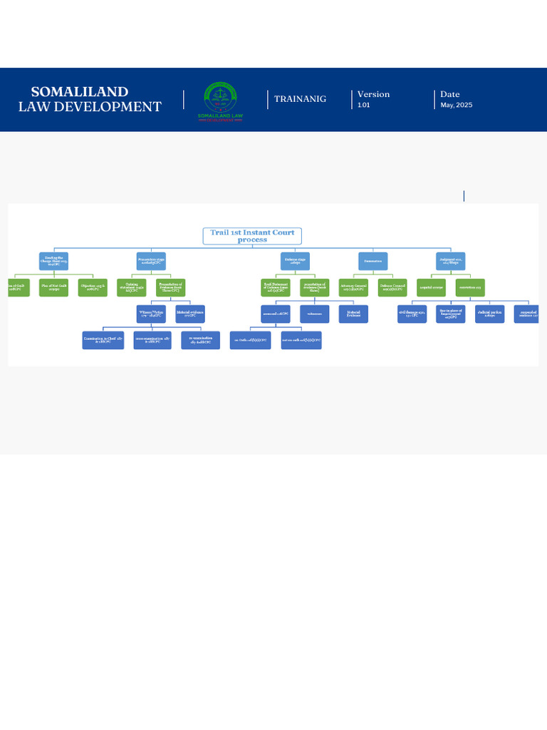 Case Procedure | PDF