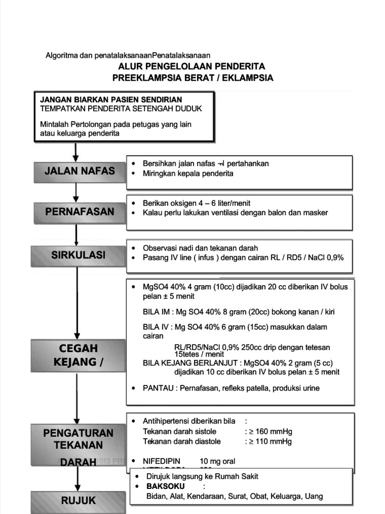 PDF Algoritma Dan Penatalaksanaanpenatalaksanaan PBL 3 - Compress | PDF