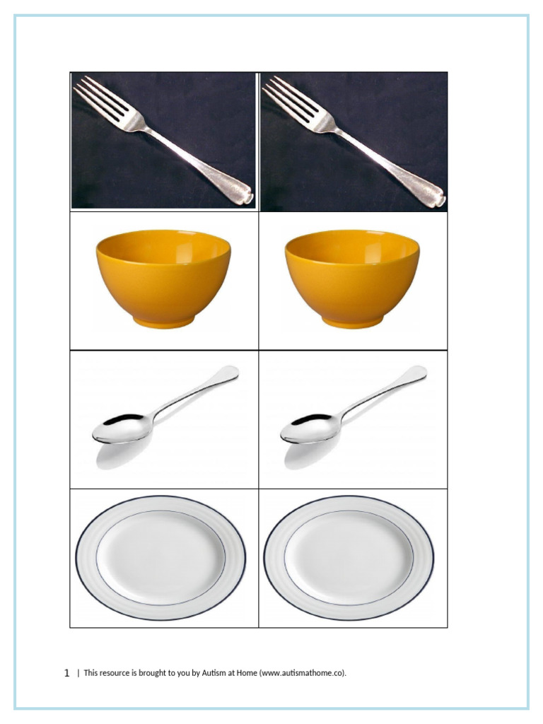 Autism at Home - Matching Stimuli | PDF