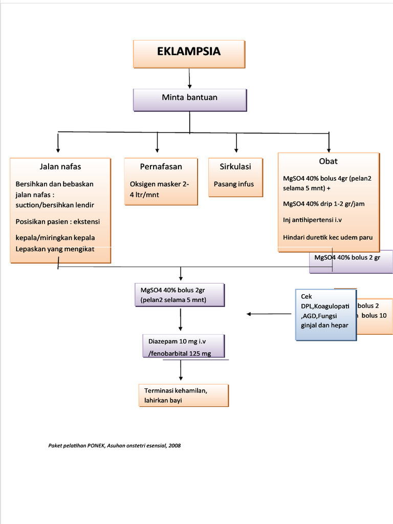 pdf-algoritma-eklampsia_compress | PDF