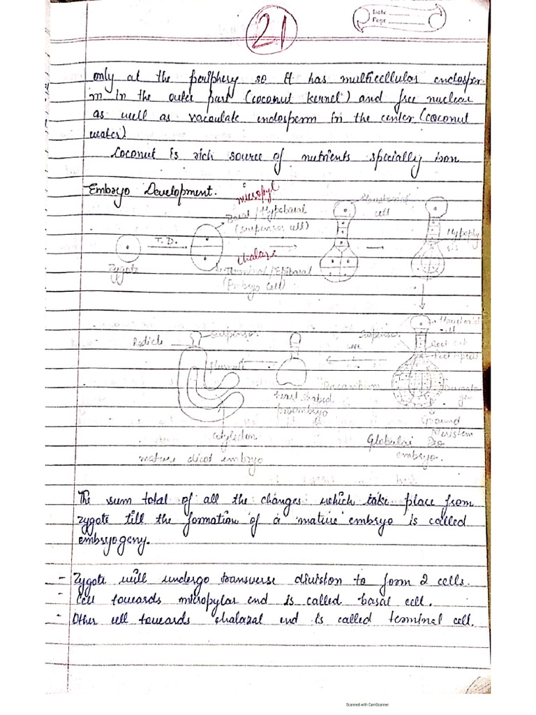 Day 7 class 12 | PDF