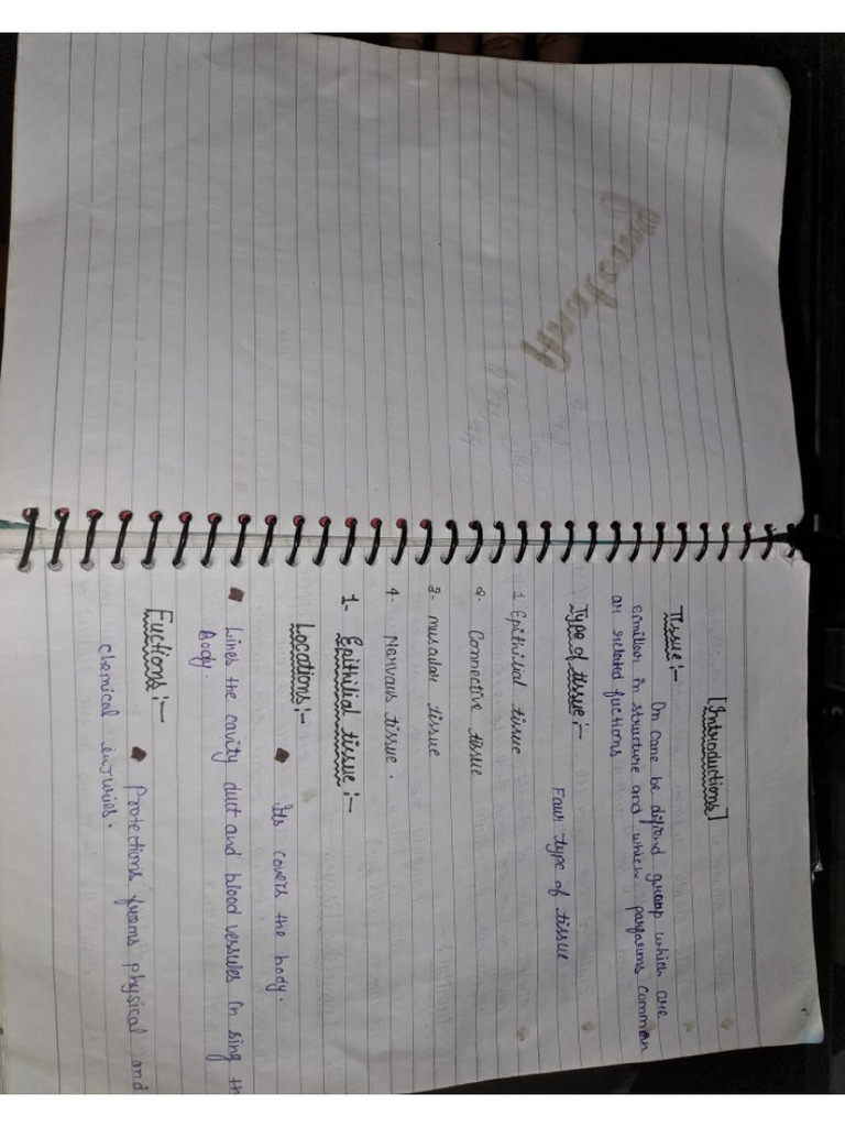 Anatomy Notes | PDF