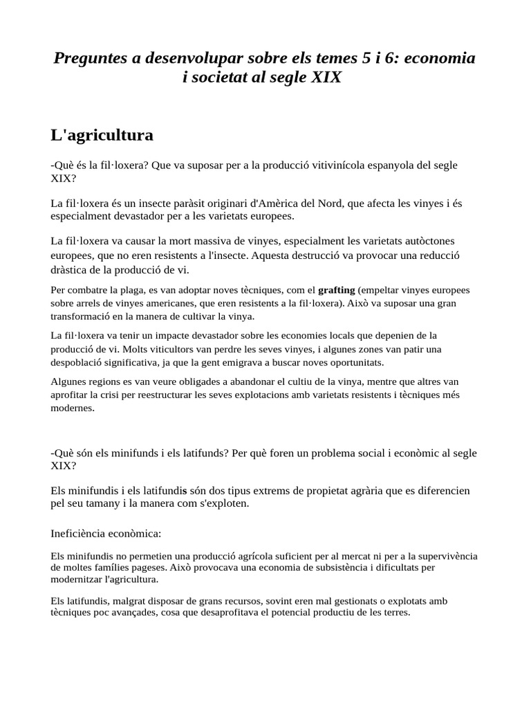 Treball Hist Esp | PDF