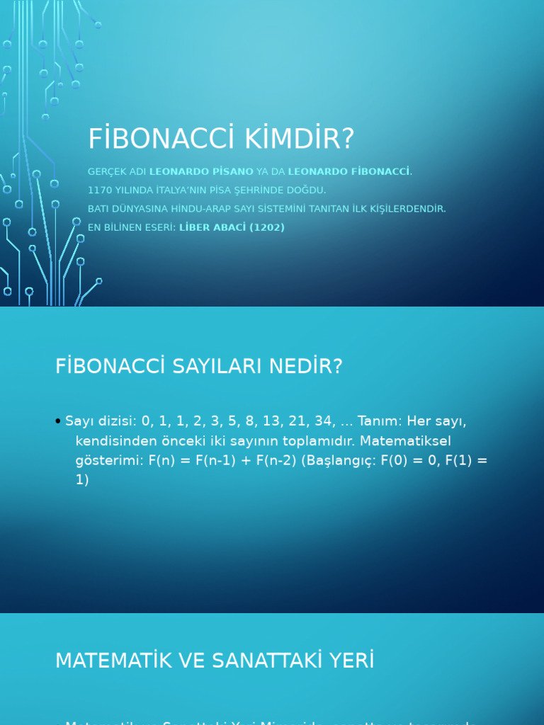 Matematik Sunum | PDF