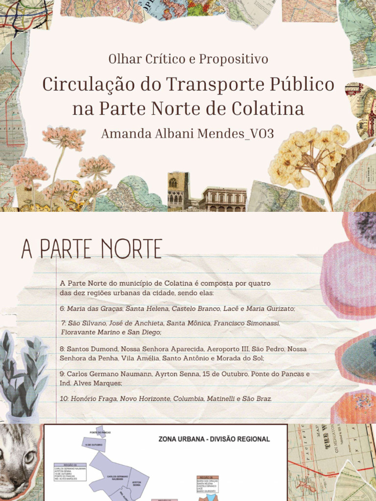 Olhar Crítico e Propositivo - Amanda Albani V03 | PDF