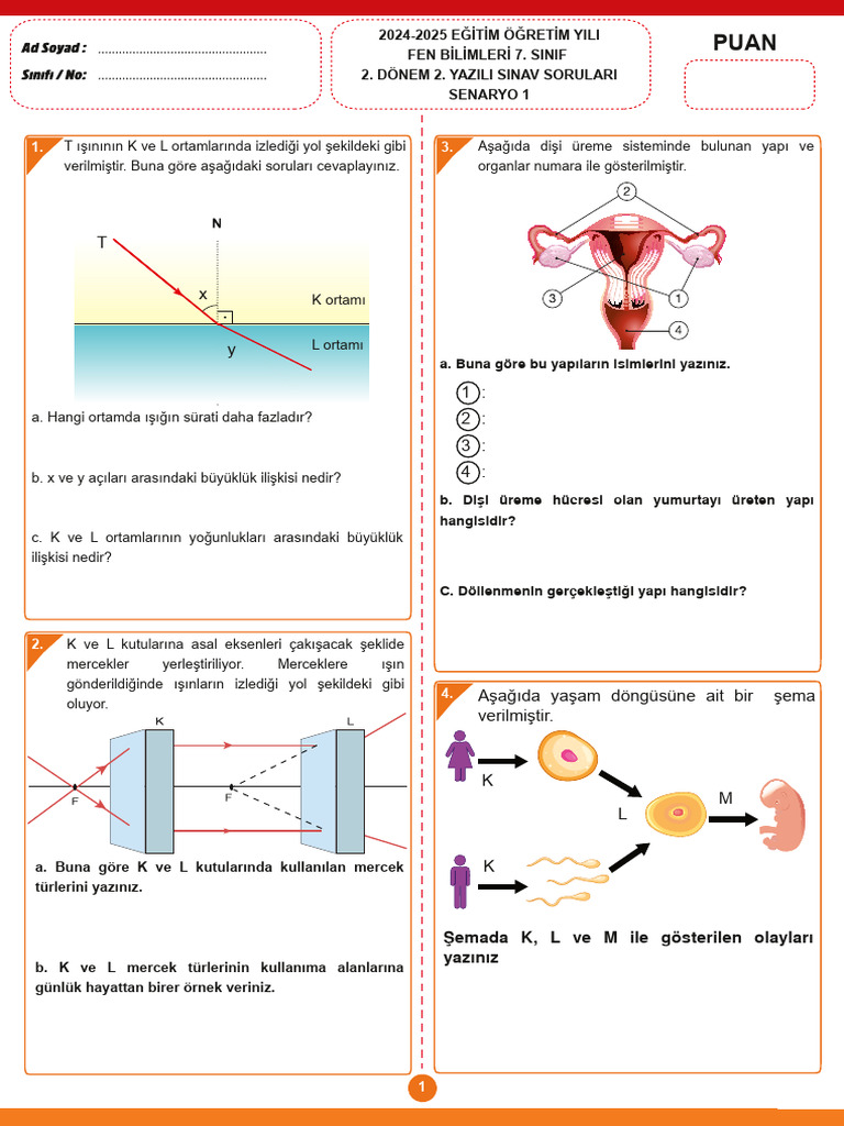 7.-sinif-2.-donem-2.-yazili fen | PDF