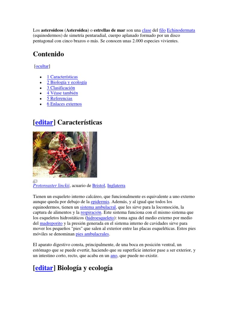 Los Asteroideos | PDF | Organismos | Naturaleza