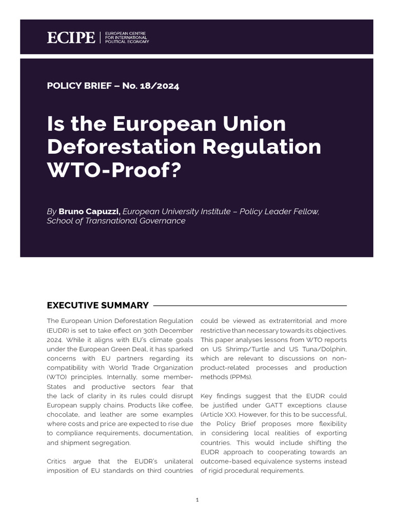 ECI 24 PolicyBrief 18-2024 LY03 | PDF | World Trade Organization | Most Favoured Nation