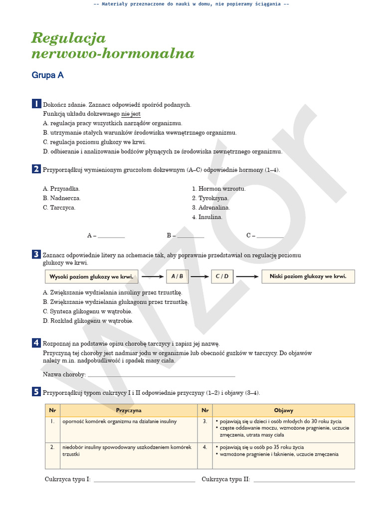 Biologia - Klasa 7 - Dział 7 - Sprawdzian | PDF