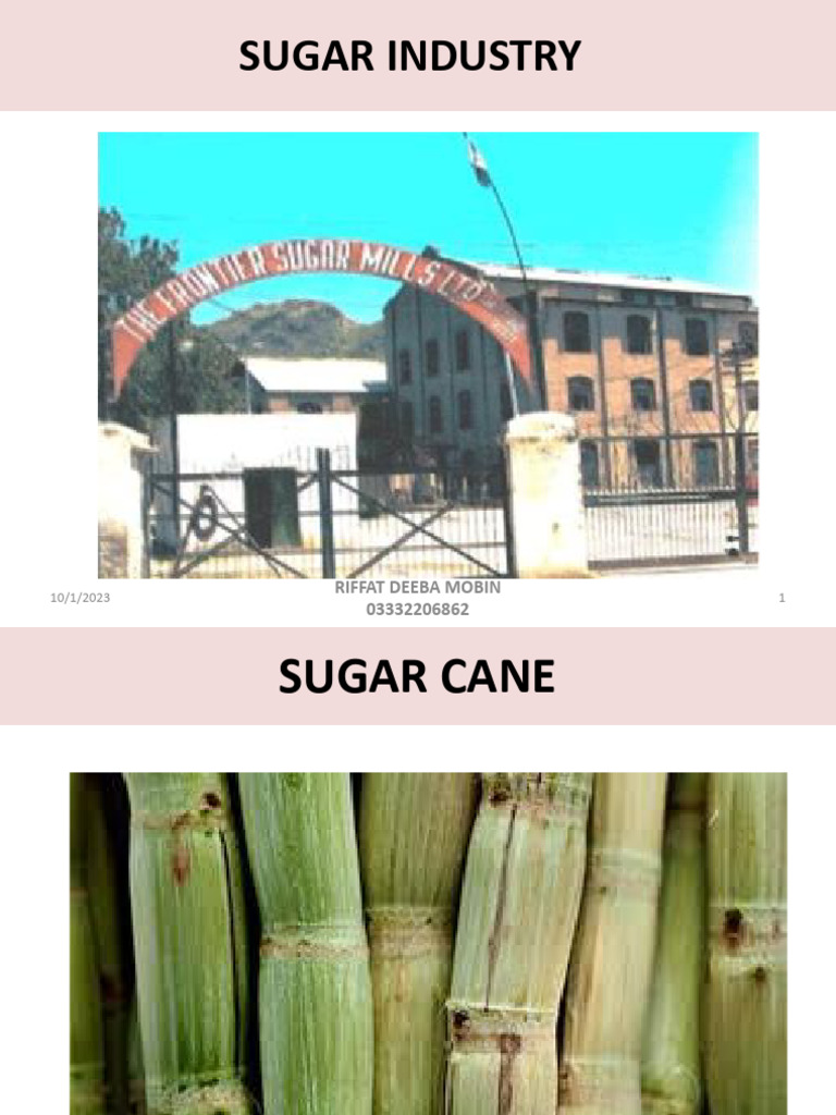 Sugar Industry new 2023 | PDF | Sugarcane | Sugar