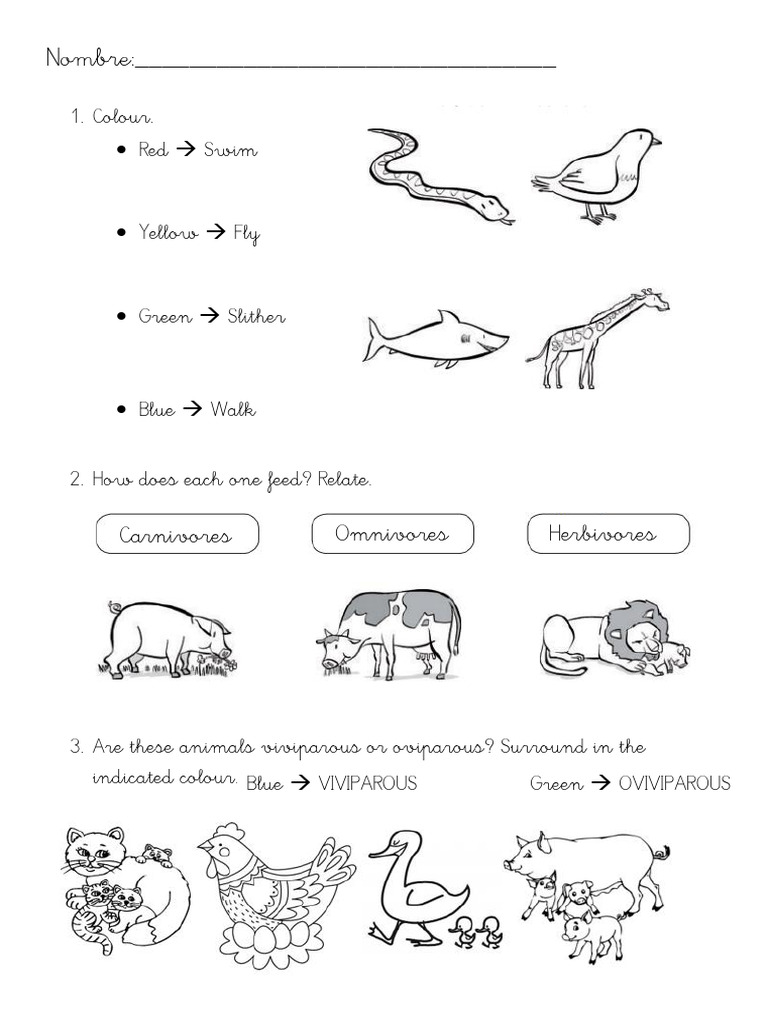 Animals | PDF