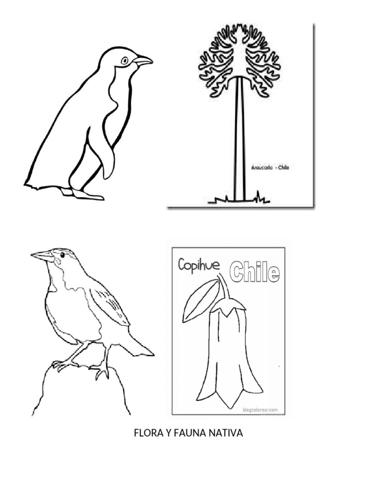 Flora y Fauna Chilena | PDF