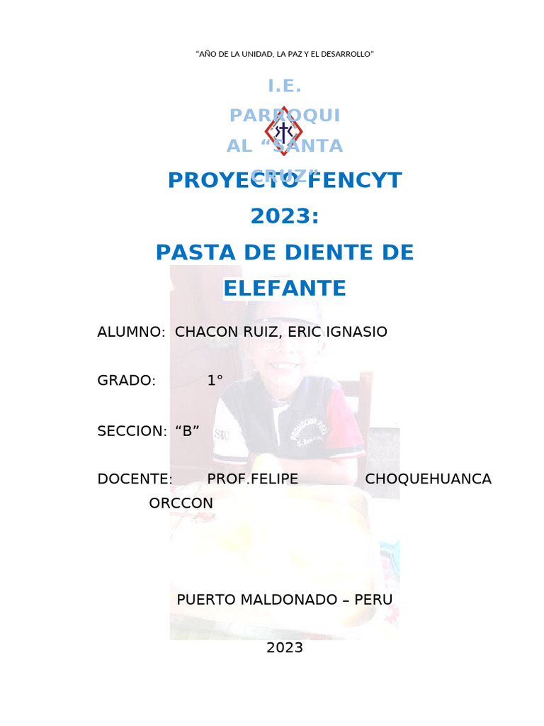 AÑO DE LA UNIDAD Caratula | PDF