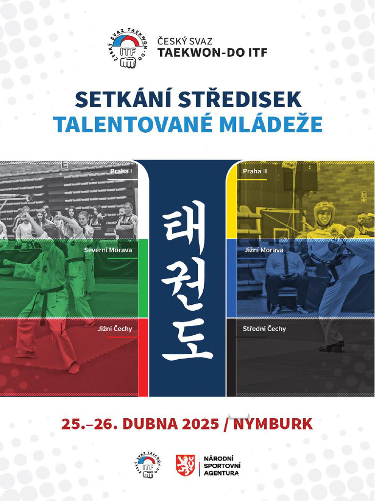 2025 4 25 STM Propozice | PDF
