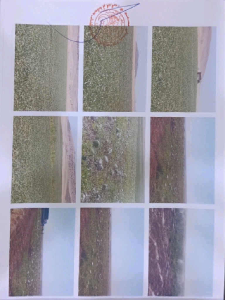 MyDoc 1731481465808 | PDF