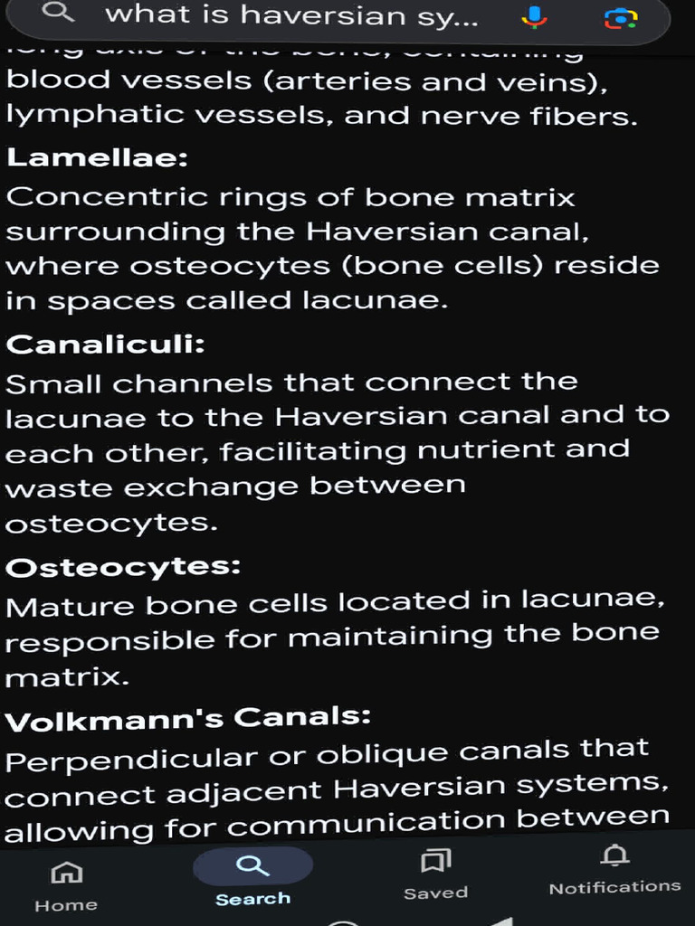 Understanding Haversian System Structure | PDF