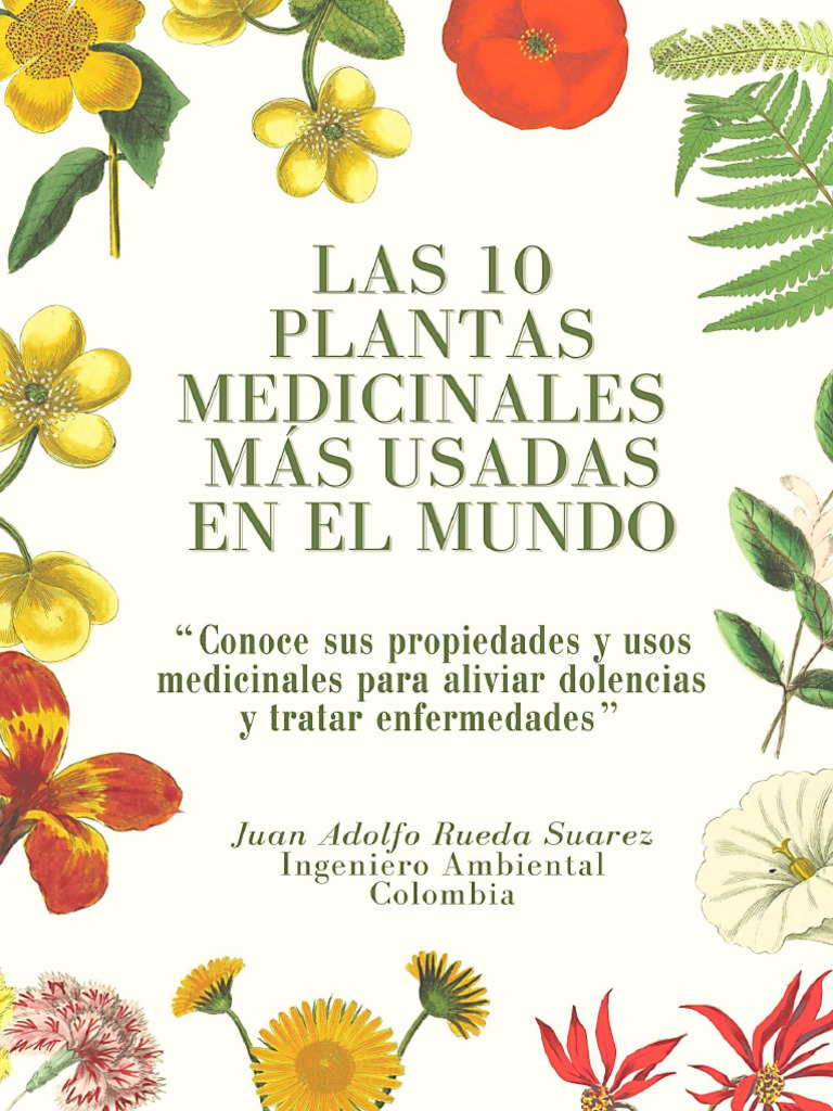 Plantas Medicinales | PDF