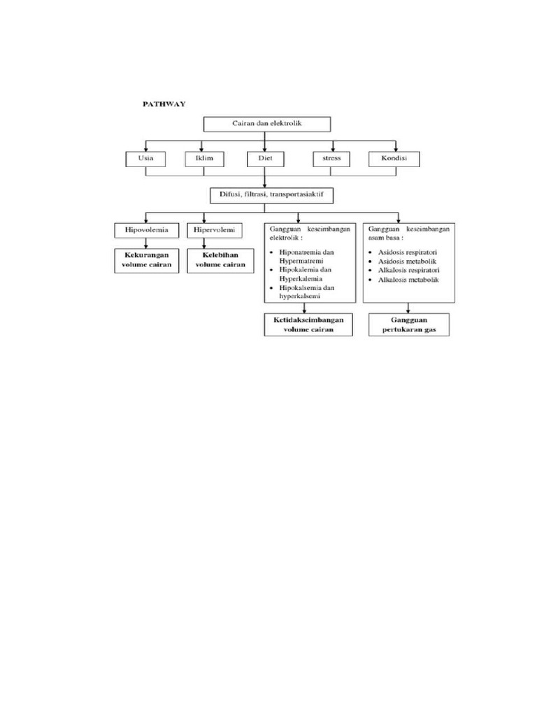 Pathway Cairan Dan Elektrolit | PDF