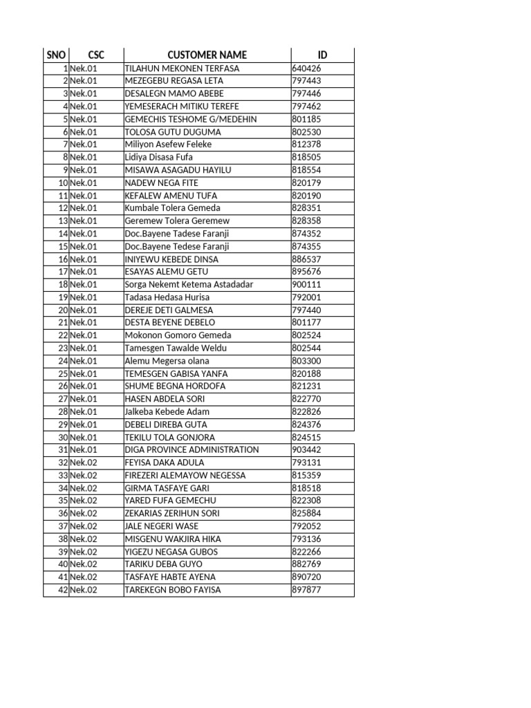 Prepaid Meter Inspection Format | PDF
