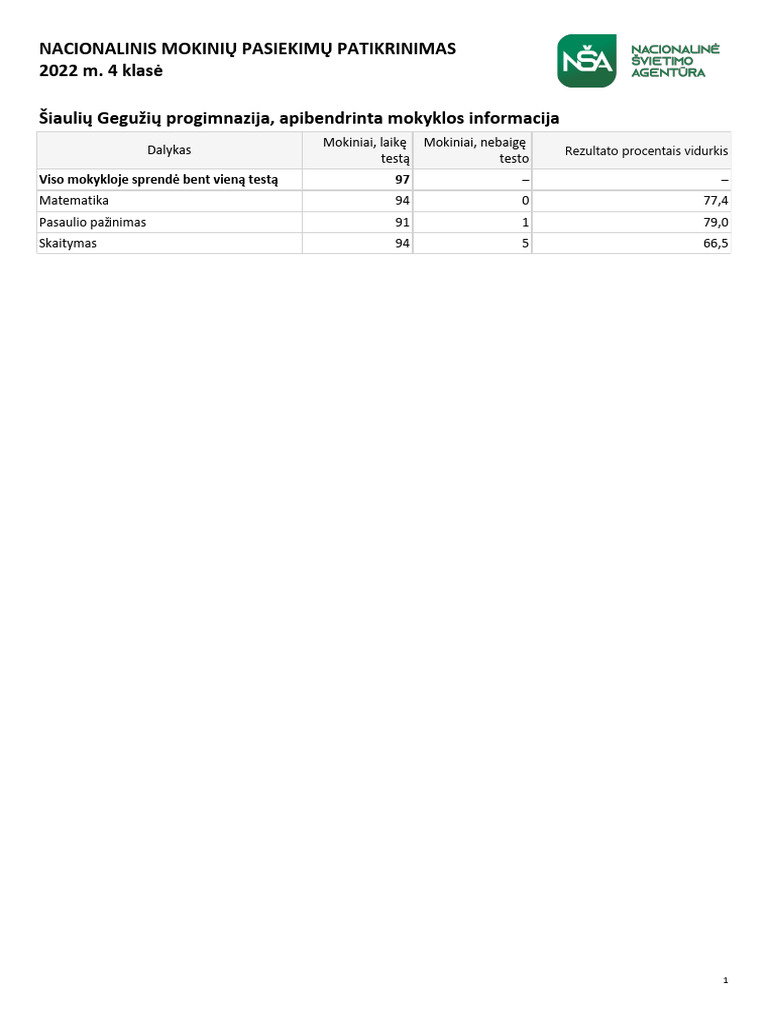 MMPP Ataskaita | PDF