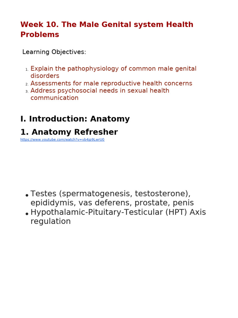 Week 10 PPII The Male Genital System Health Problems | PDF | Prostate ...