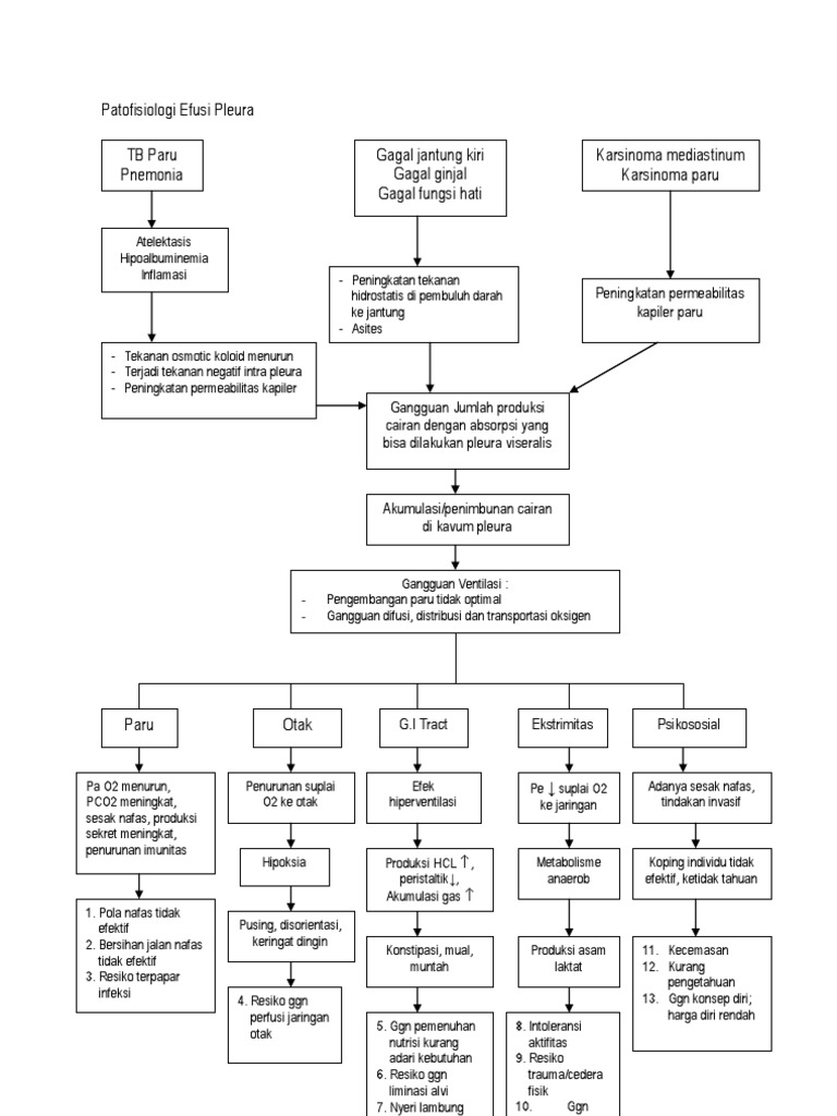 Patofisiologi Efusi Pleura