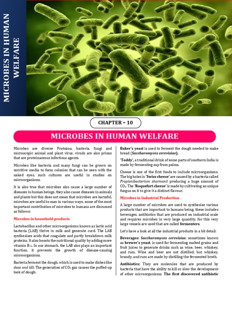 Microbes | PDF | Microorganism | Sewage Treatment