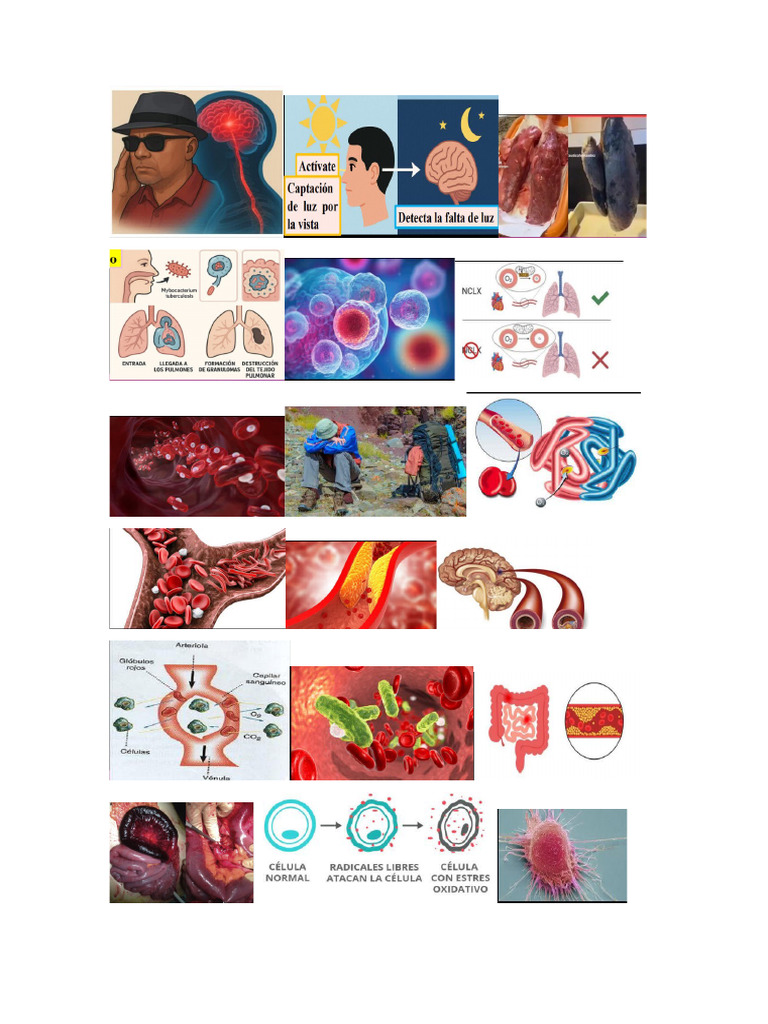 Semio Imagnes (1) | PDF