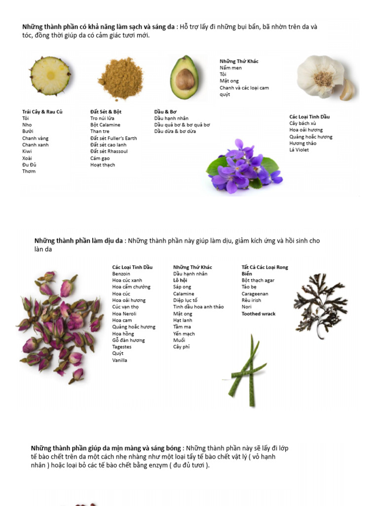 What Does What - Lush Vietnam | PDF