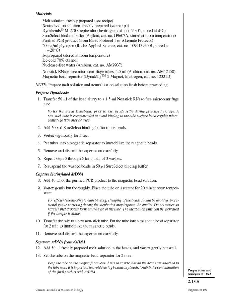 Single-Stranded DNA Purification Protocol | PDF | Polymerase Chain ...