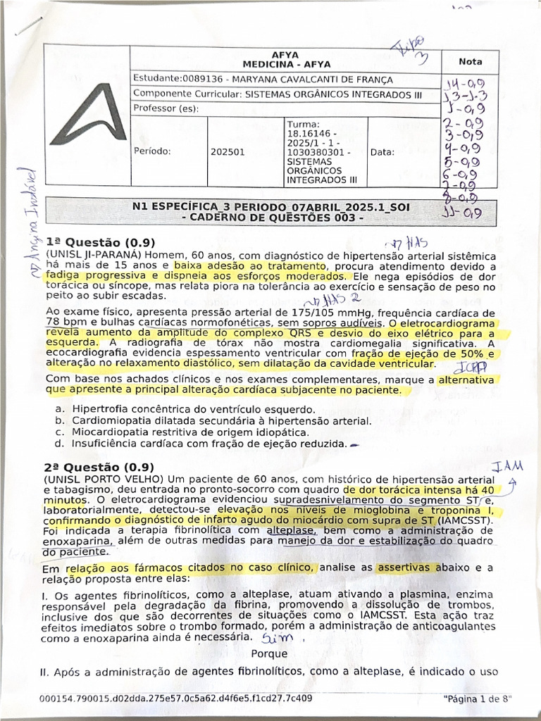 N1 Soiii Tipo-3 | PDF