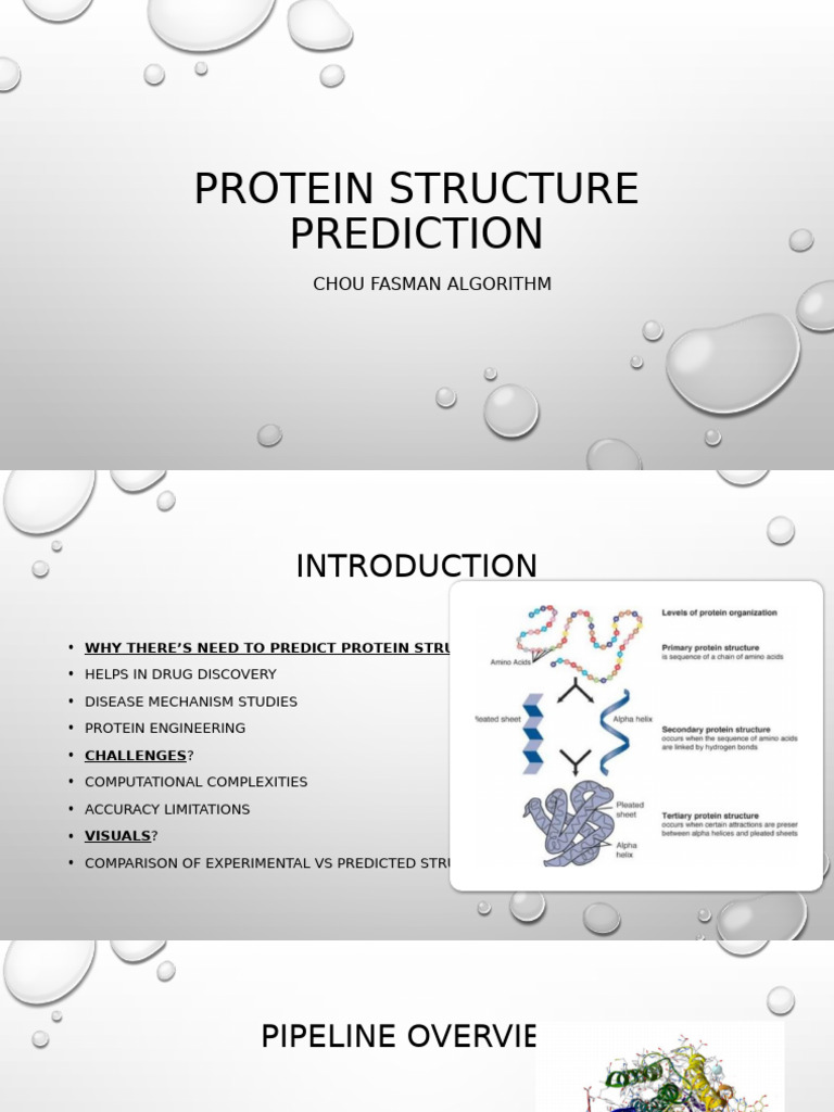 Presentation protein structure | PDF
