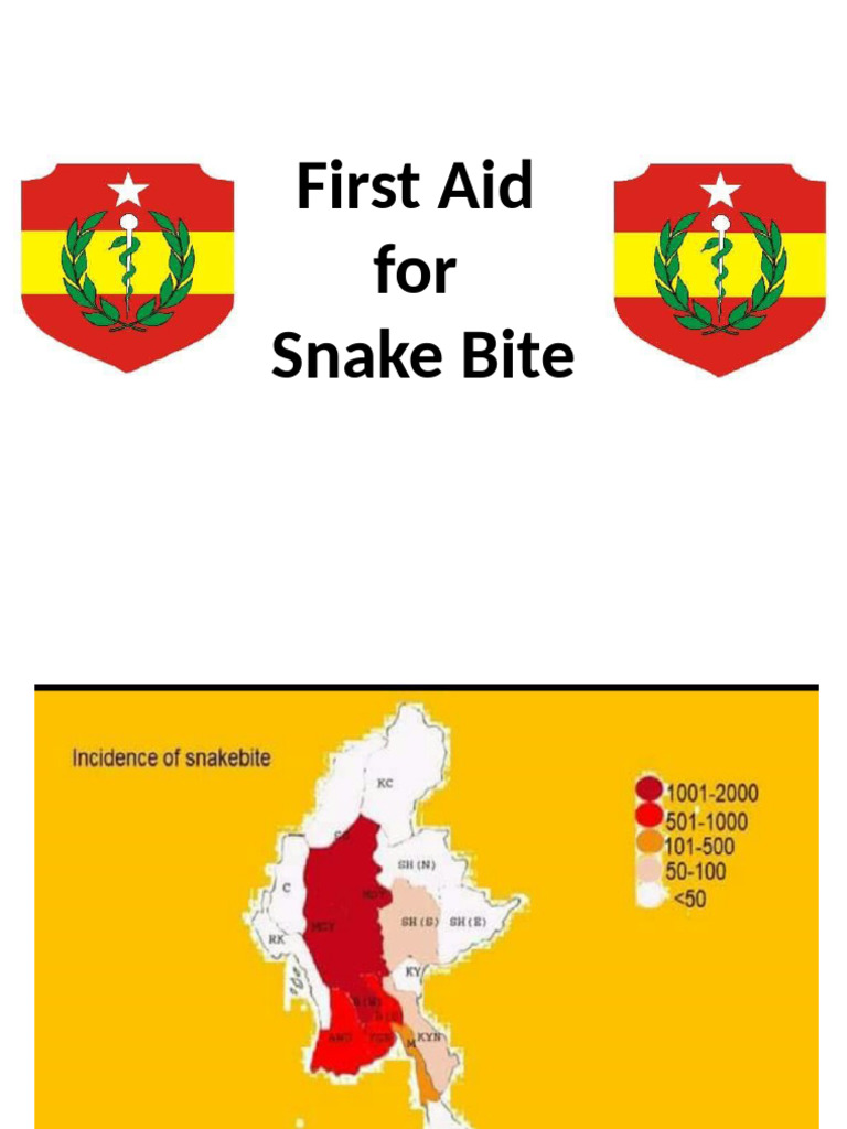First Aid For Snake Bite - Cc3984a3 f0bc 49f2 Becc 1ef0bb96f217 | PDF