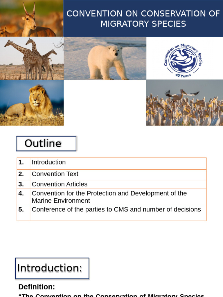 Migratory Species Conservation Convention | PDF | Conservation Biology ...