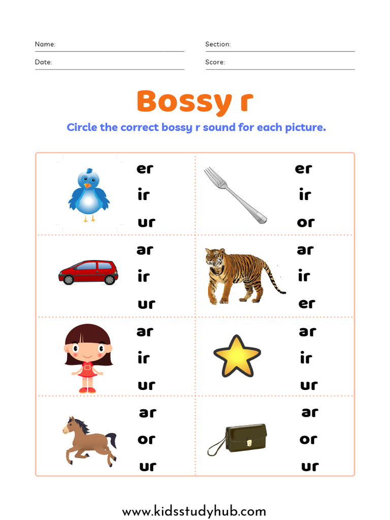 Choose Bossy R | PDF