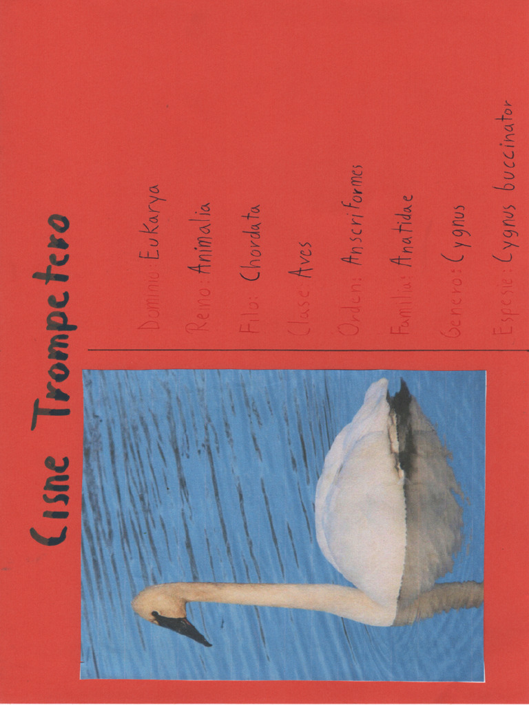 Escáner 20250217 | PDF